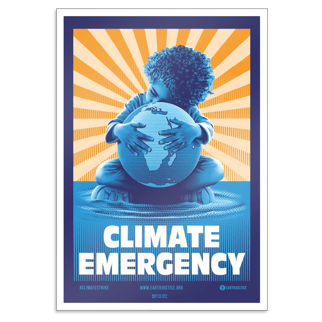 Custom-Printed Rally Signs and Posters - The Blue Deal LLC